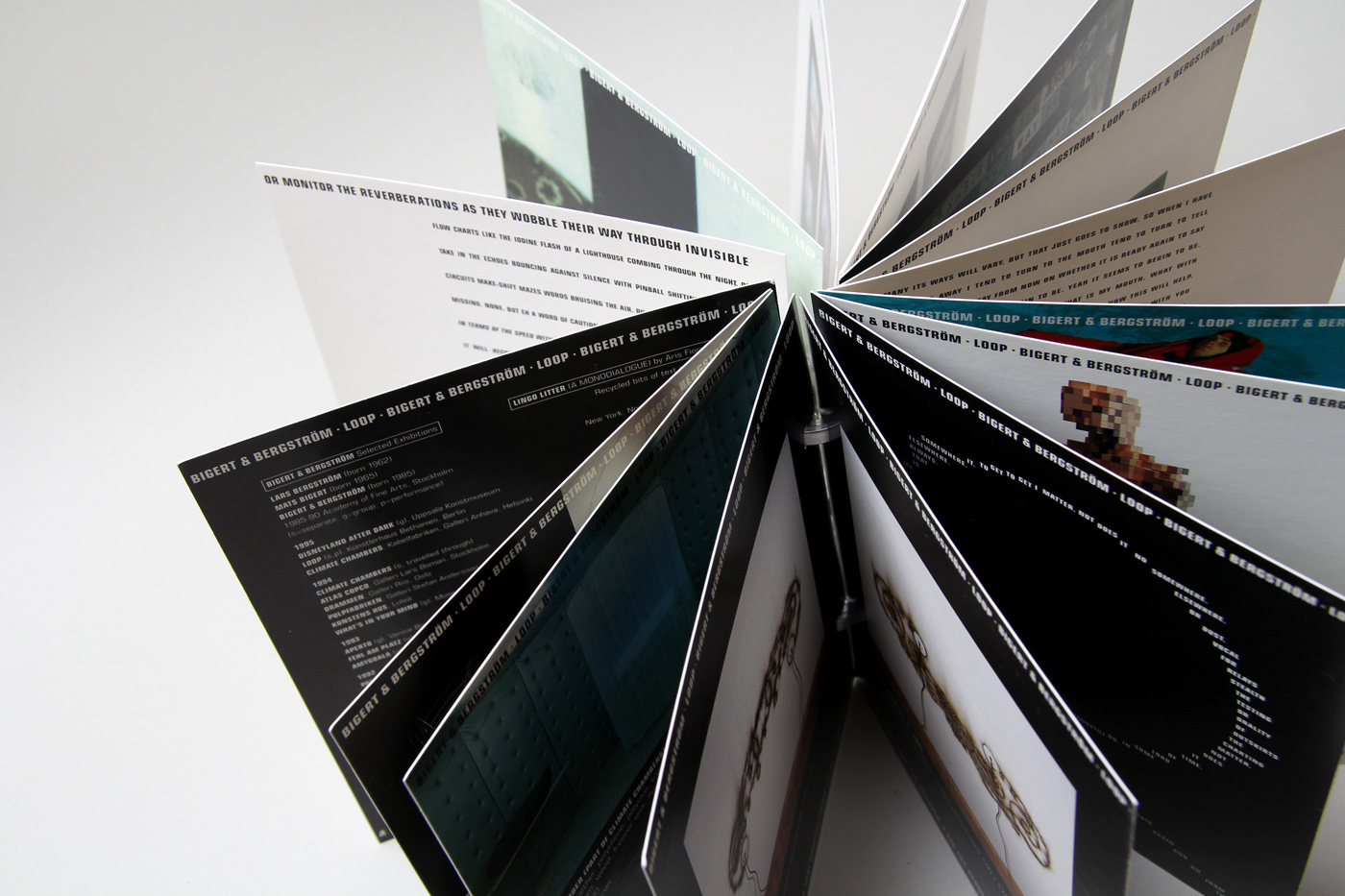 Lingo Litter:A Monodialogue – Aris Fioretos